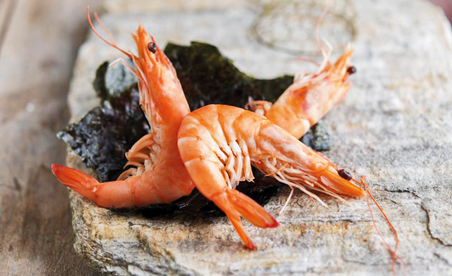 Cuisson de crustacés : suivez le guide ! - Produits de la mer